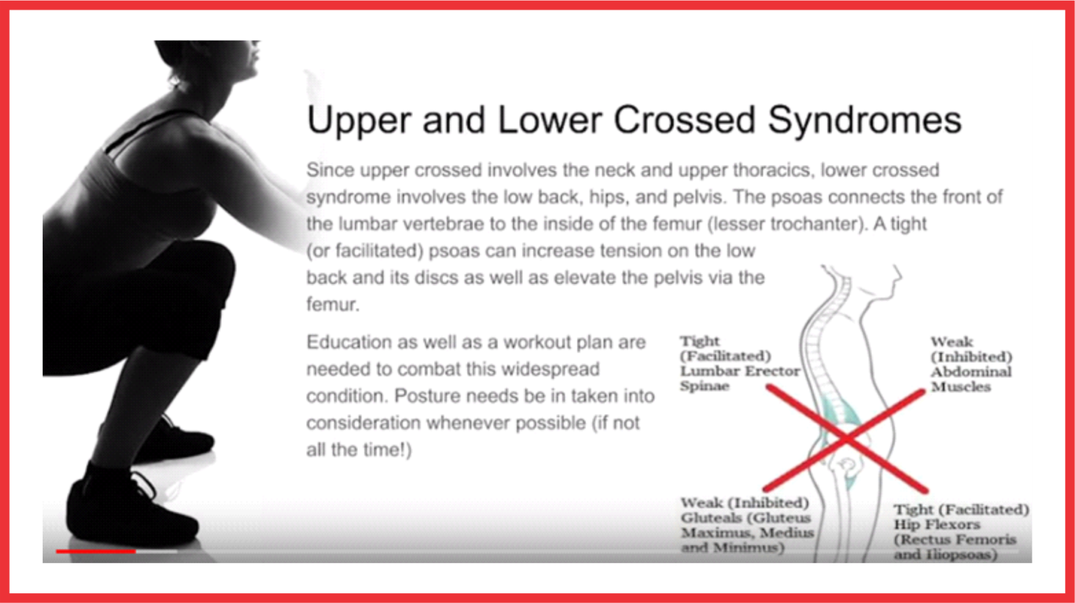 SPINE WISE EXERCISE â€“ For Optimum Function and Movement - Liberation ...